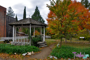 Wordless Wednesday: Fall Colors - TrishaLyn.com